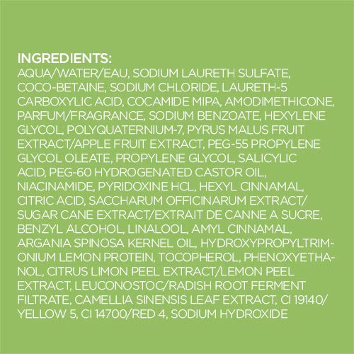 Garnier Fructis Sleek and Shine Shampoo for Frizzy Hair, 12.5 Ounce