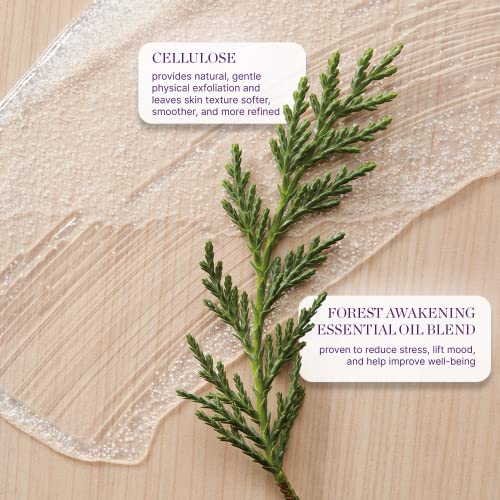 Tatcha Forest Awakening Hinoki Body Wash: Soft Exfoliating Scrub, 200 ml | 6.8 fl oz