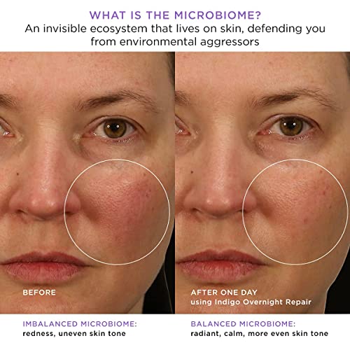 TATCHA Firming Nourishment AM + PM Duo: The Silk Cream + Indigo Overnight Repair