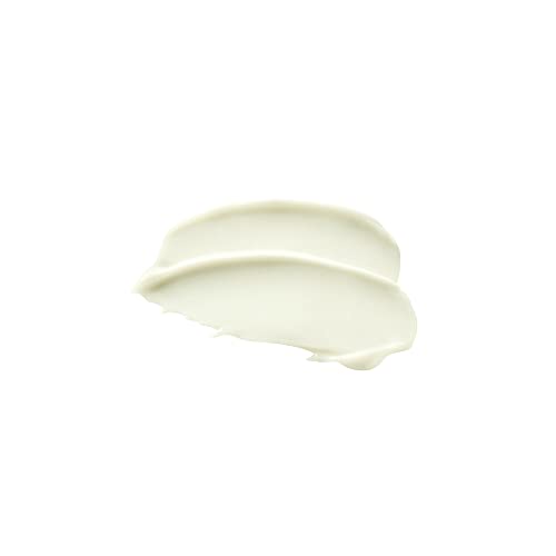 TIZO Eye Renewal SPF20 Net Wt. 0.5 oz/15 g, 1 ct.