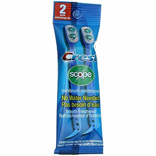 Unknown Scope Outlast Minibrush, Long Lasting Mint, Set of 2, 1-Pack