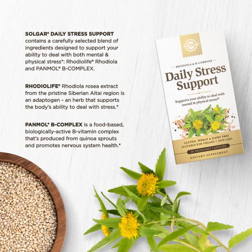 Solgar Daily Stress Support, 30 Vegetable Capsules – Build Resistance to Stress & Mental Fatigue – Support Ability to Stay Calm – Contains Clinically-Studied Rhodiola & B-Complex, Non-GMO, 30 servings