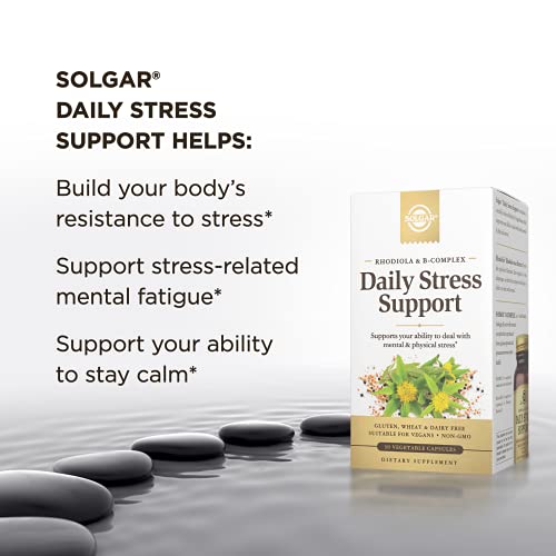 Solgar Daily Stress Support, 30 Vegetable Capsules – Build Resistance to Stress & Mental Fatigue – Support Ability to Stay Calm – Contains Clinically-Studied Rhodiola & B-Complex, Non-GMO, 30 servings