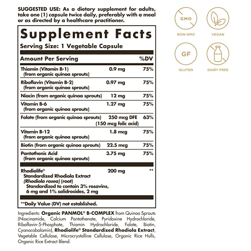 Solgar Daily Stress Support, 30 Vegetable Capsules – Build Resistance to Stress & Mental Fatigue – Support Ability to Stay Calm – Contains Clinically-Studied Rhodiola & B-Complex, Non-GMO, 30 servings