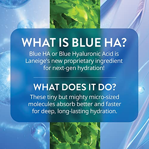 Water Bank Blue Hyaluronic Cream Moisturizer Mini: Hydrate and Nourish