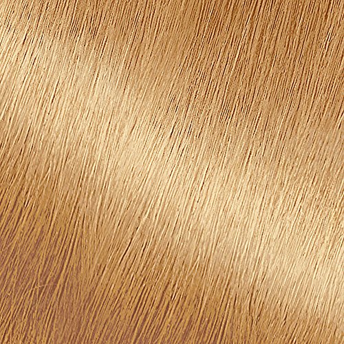 Garnier Nutrisse Nourishing Hair Color Creme, 83 Medium Golden Blonde (Cream Soda) (Packaging May Vary)