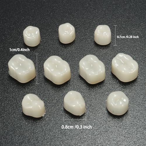 120 Pieces Fake Tooth Cap Crown Veneers Front Back Anterior and Molar Posterior Teeth with Thermal Beads Cap Filler for Teaching or DIY (50pcs Front and 70pcs Back)