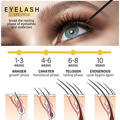 Premium Eyelash Growth Serum - 5ml Fuller & Longer Looking Eyelashes Lash Enhancing Serum for Natural Lashes or Lash Extensions & Brows, Vegan & Cruelty-Free gold