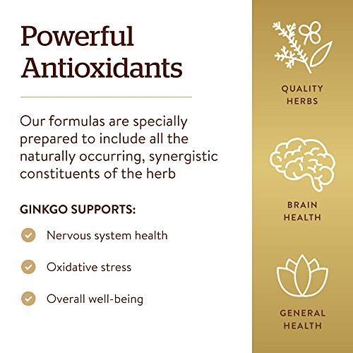 Solgar Super Ginkgo, 120 Vegetable Capsules - Full Potency (FP) - Antioxidant & Nervous System Support - Brain Health - Non-GMO, Vegan, Gluten Free, Dairy Free, Kosher - 120 Servings