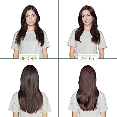 Garnier Hair Color Nutrisse Nourishing Creme, 20 Soft Black (Black Tea) Permanent Hair Dye, 2 Count (Packaging May Vary)