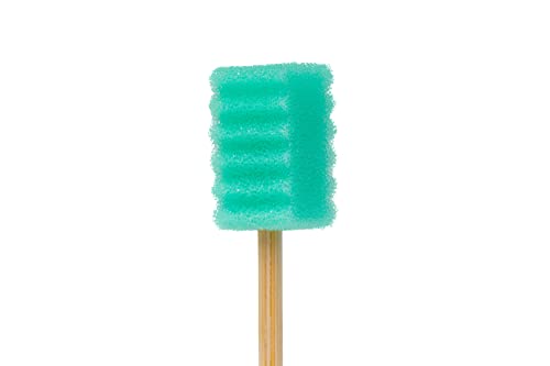 Biodegradable Super Freshy - Waterless Pre-Pasted Disposable Toothbrush | Better Than Gum, Easier Than a Toothbrush - After Coffee | After Lunch | On The Go Clean Mouth Solution - 20 Count…