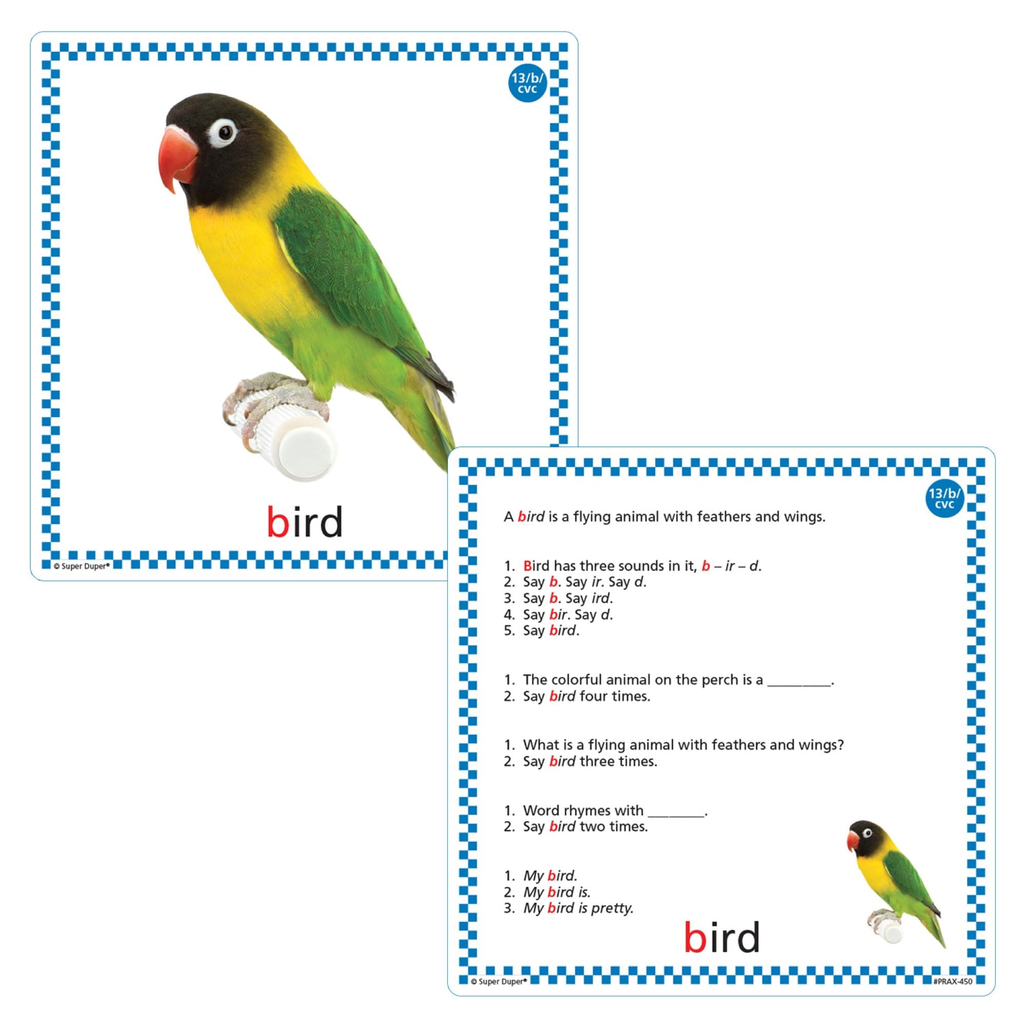 Super Duper Publications | Webber® Big Apraxia Photo Cards | Organized Words by Syllable for Ease of Speech Production | Vowels and Consonants | Basic Syllable Shapes | Activities with Instructions