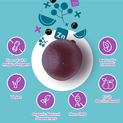 Hyland's Naturals Organic Elderberry Plus Gummies, Organic Black Elderberry with ZINC and Vitamin C, Immune Support Supplement for Adults, 60 Vegan Gummies (30 Days)
