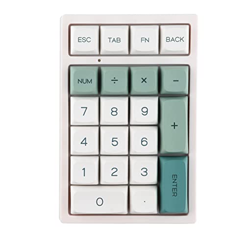 EPOMAKER TH21 21 Keys Hot Swappable Mechanical Gaming Numpad, 3 Modes(2.4Ghz/Bluetooth 5.0/Wired) Programmable RGB Numeric Keypad with PBT Keycaps for Win/Mac (Botanic Garden, Flamingo Switch)