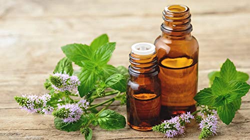 Muse Bath Apothecary Study Ritual - Aromatic and Invigorating Room Mist, 8 oz, Infused with Natural Essential Oils - Aloe + Eucalyptus + Peppermint