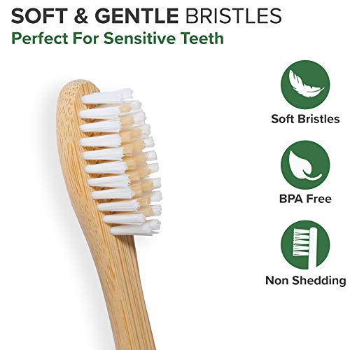 VIVAGO Biodegradable Bamboo Toothbrushes 10 Pack - BPA Free Soft Bristles Toothbrushes, Eco-Friendly, Compostable Natural Wooden Toothbrush