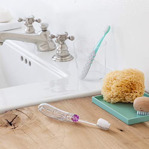 RADIUS Tour Travel Brush & Case with Replaceable Brush Head ADA Accepted Toothbrush Improve Gum Health - Purple - Pack of 1