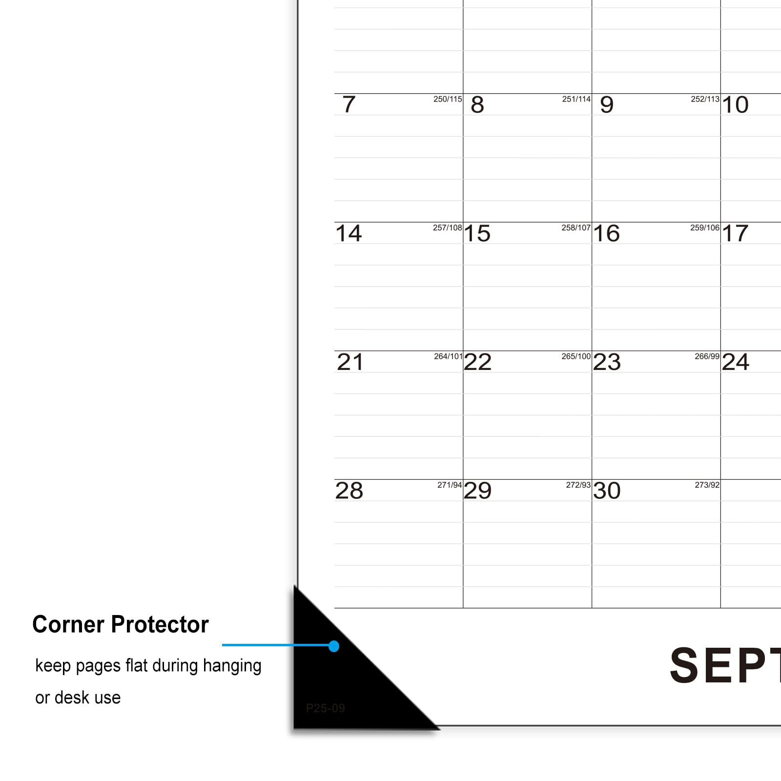 TOWWI Monthly Desk Pad Calendar Desk/Wall Calendar for Daily Schedule Planner, 16.7x11.6 inches (Black)