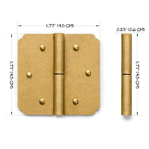 Hardware Philosophy Rounded Corner Brass Hinge 1.77 Inches - Set of 2 - Architectural, Interior Design, Doors, Furniture Cabinet Customization Hardware