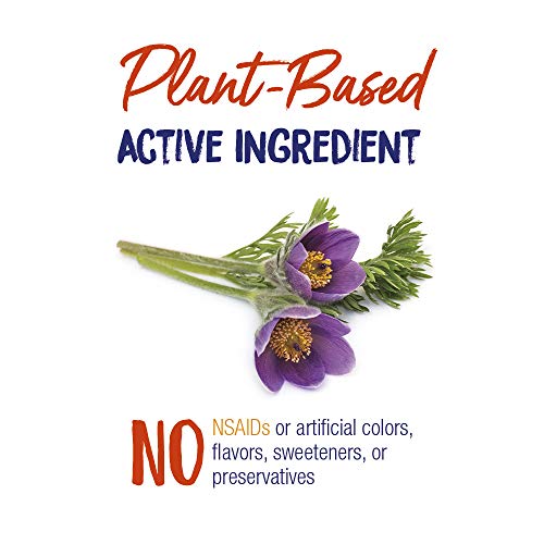 Boiron Pulsatilla 30C Homeopathic Medicine for Relief from Cold, Nasal Congestion, Thick Mucus, and Cough - 3 Count (240 Pellets)