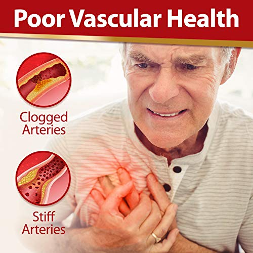 LABO Nutrition VesseCLEAR EX + NeuroREGAIN: Nattokinase NSK-SD, Elastin F for Clean & Flexible Blood Vessel, Cardiovascular & Circulation Support, Scallop-derived PLASMALOGEN for Brain Deterioration