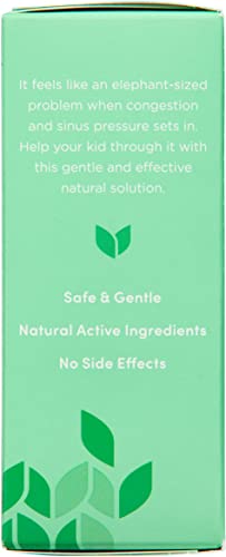 Hyland's 4 Kids Stuffy Nose & Sinus Cold and Allergy Medicine for Children Ages 2+ Headache Relief and Nasal Decongestant, 50 Tablets