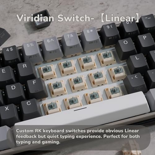 RK ROYAL KLUDGE RK61 Plus Wireless Gaming Keyboard, 60% Percent Mechanical Keyboard with Bluetooth/2.4Ghz/USB Modes, Hot Swappable RGB Keyboard for PC Gamers, Silent Linear Viridian Switches