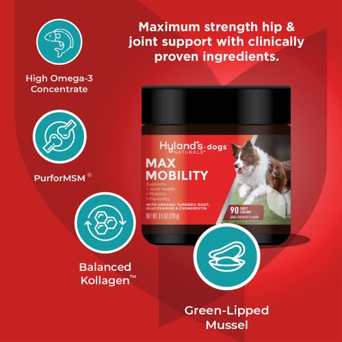 Hyland's Naturals - Dogs - Max Mobility, 90 Soft Chews, Supports Joint Health, Mobility & Flexibility, with Organic Turmeric Root, Glucosamine & Chondroitin, BBQ Chicken Flavor