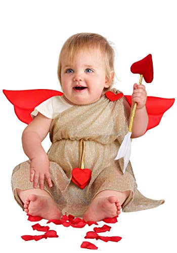 Fun Costumes Darling Infant Cupid for Valentine's Day or Halloween | Baby Dress Up Outfit