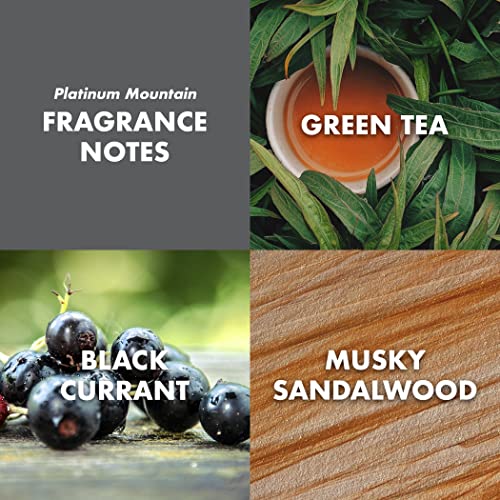 Fragrance Inspired by Silver Mountain Water 3.4oz Men's Cologne | Almost an Exact Clone | 3.4oz Eau de Parfum | Robust Masculine Crisp Clean Scent with a Woodsy Backbone | Unisex Fragrance is Addictive!