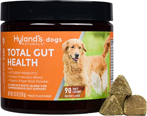 Hyland's Naturals - Probiotics for Dogs - Total Gut Health - with ACTIGEN PREBIOTIC and Organic Ginger Root, 90 Soft Chews