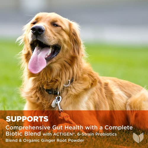 Hyland's Naturals - Probiotics for Dogs - Total Gut Health - with ACTIGEN PREBIOTIC and Organic Ginger Root, 90 Soft Chews
