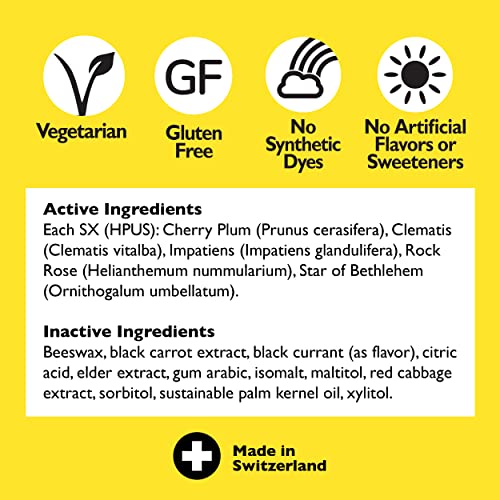 Bach RESCUE PASTILLES, Black Currant Flavor, Natural Stress Relief Lozenges, Homeopathic Flower Essence, Vegetarian, Gluten And Sugar-Free, 35 Count