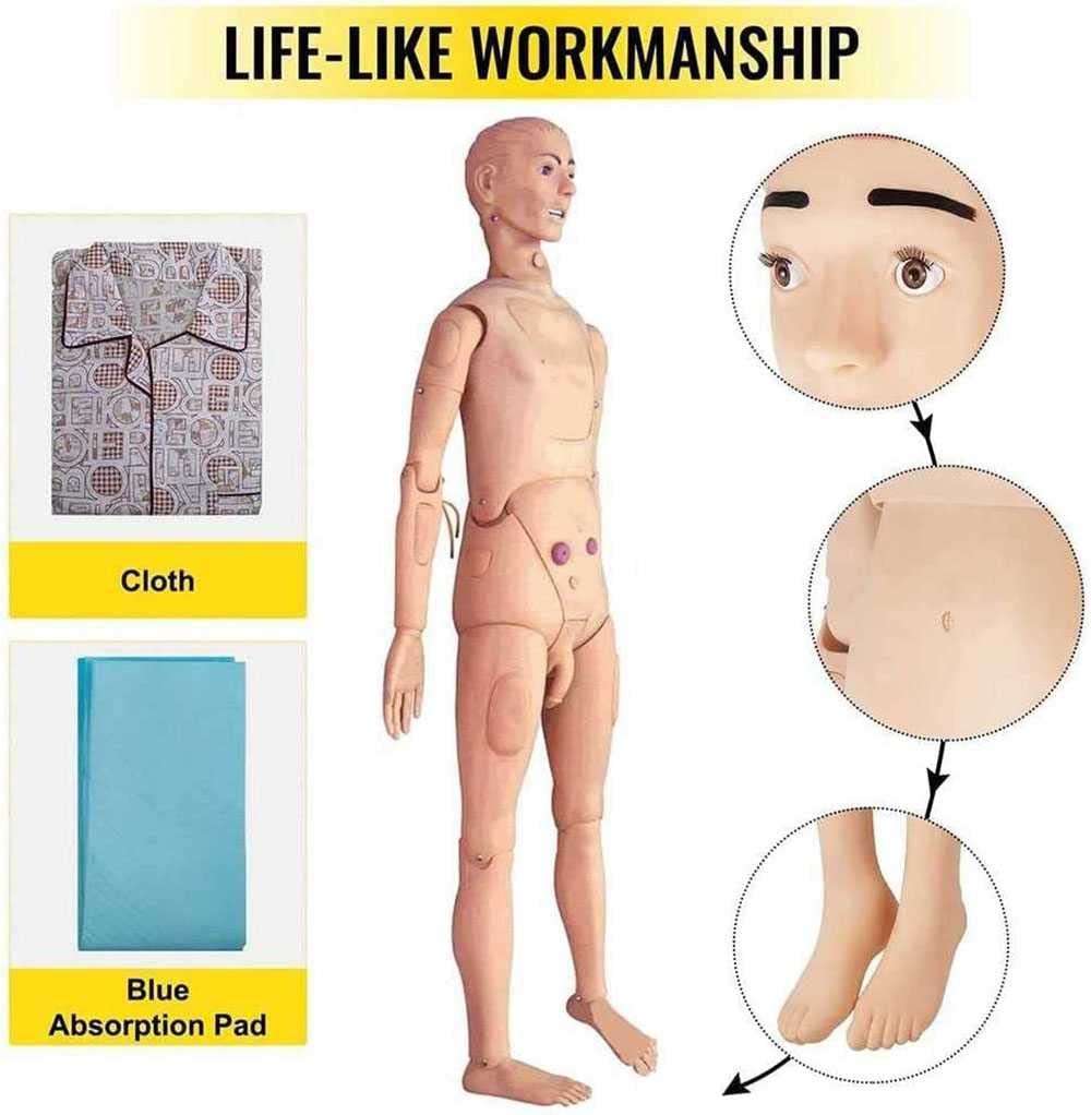 FOCCAR Patient Care Manikin Nursing Skills Training CPR Simulator 170Cm Life Size Full Body Human Anatomical Model for Medical Study