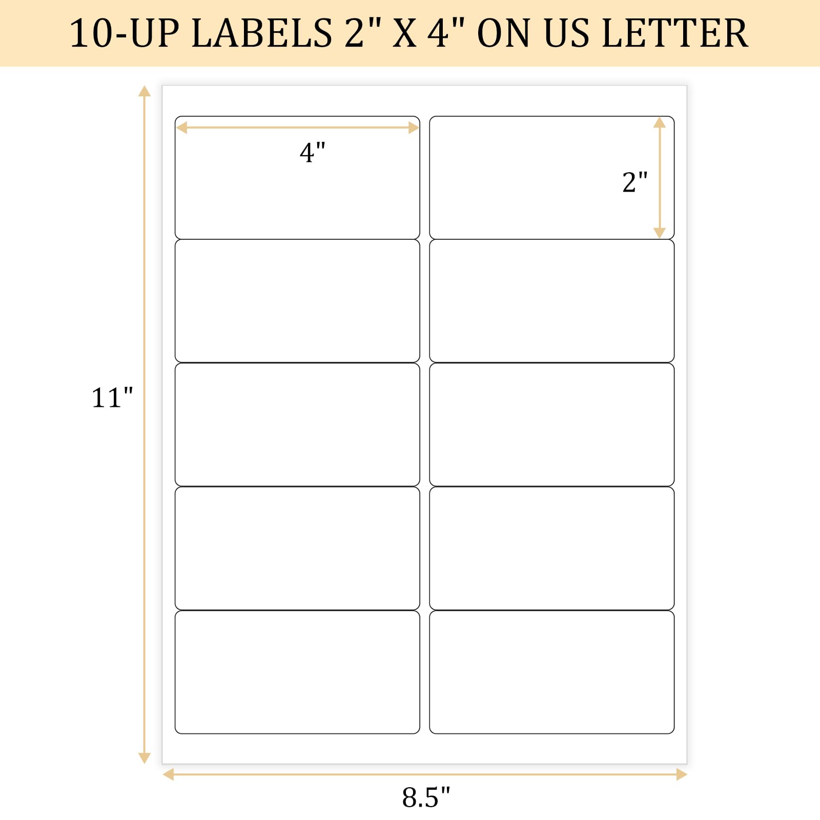 FungLam 2x4 Shipping Address Labels for Laser & Inkjet Printers, 300 Printable White Sticker Labels, 10 per Page Mailing Labels, Permanent Adhesive (30 Sheets, 300 Labels)