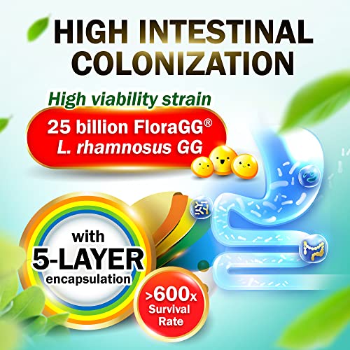 LABO Nutrition FloraGG, Lactobacillus Rhamnosus GG 25 Billion CFU Active Probiotics and Sunfiber Prebiotic Fiber Supplement, Support Healthy Intestinal, Immune Health| Non-GMO & Gluten Free β 60s