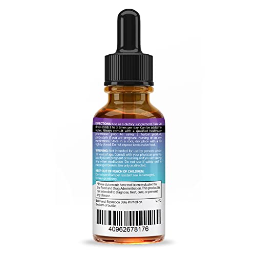 Organic Elderberry Drops Liquid Extract Daily Immune System Support 250MG Sambucus Nigra Antioxidant Berry Flavor for Kids & Adults