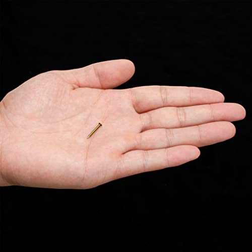 Hardware Philosophy Pure Brass Nails, 0.6 Inch, Bag of 100 - Architectural, Interior Design, Doors, Furniture Cabinet Customization Hardware
