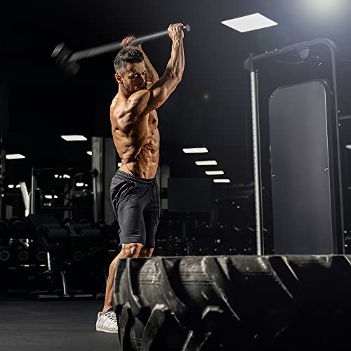 Philosophy Gym Fitness Hammer, 25 LB - Steel Hammer for Strength Training