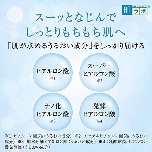 Hada Labo Rohto Hadalabo Gokujun Hyaluronic Lotion Moist Pump type 13.5 fl. oz.(400ml)