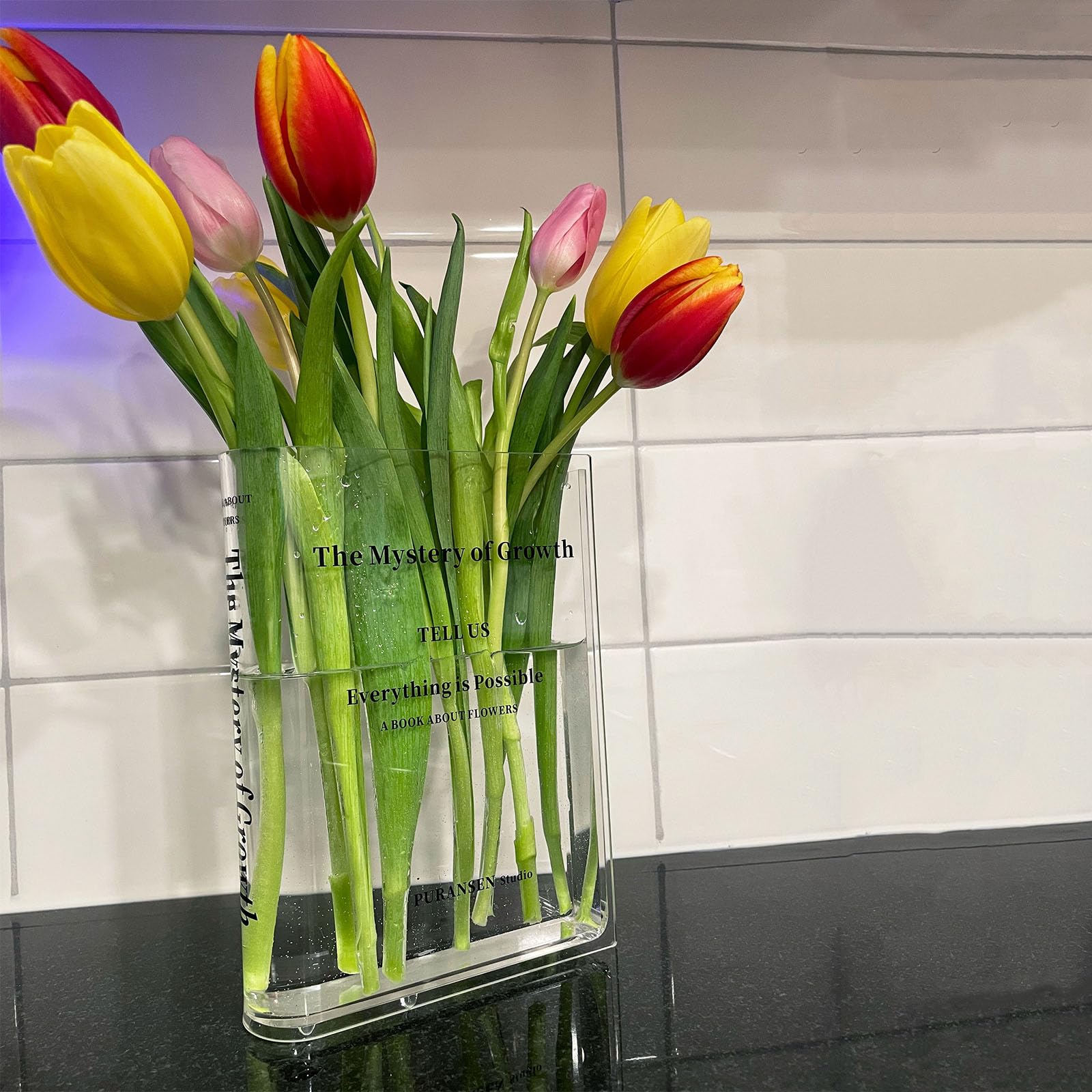 Puransen Bookend Vase for Flowers, Cute Home Office Decor; Unique Vase for Book Lovers, Artistic and Cultural Flavor Acrylic Clear Vases (Not Including Flowers)