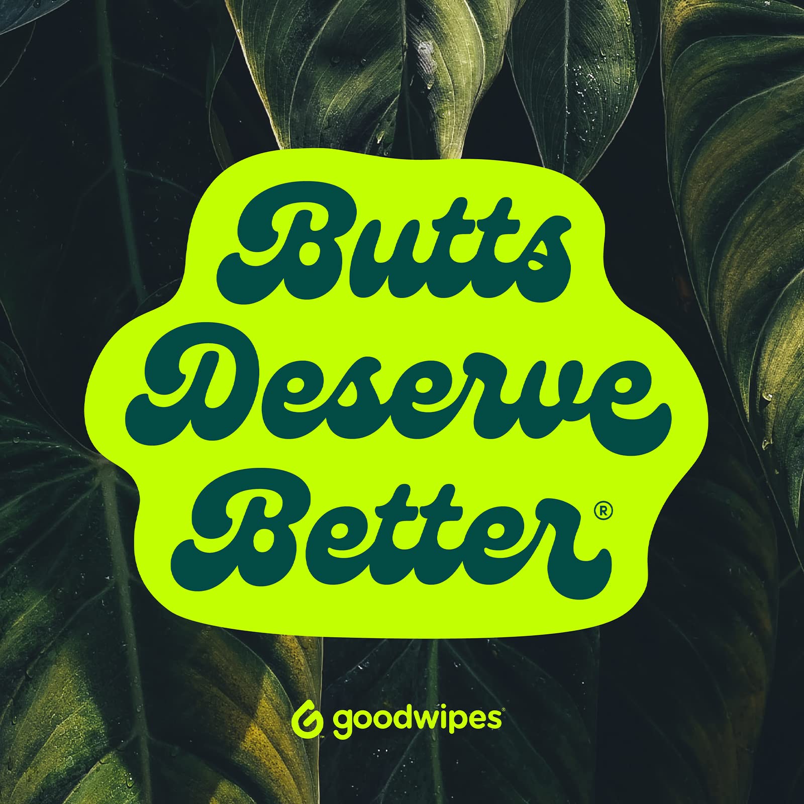 Goodwipes Flushable Butt Wipes Made with Vitamin E & Aloe - Soft & Gentle Wet Wipe Dispenser for Home Use, Septic & Sewer Safe - Largest Adult Toilet Towelettes - Lavender, 360 Count (6 Packs)