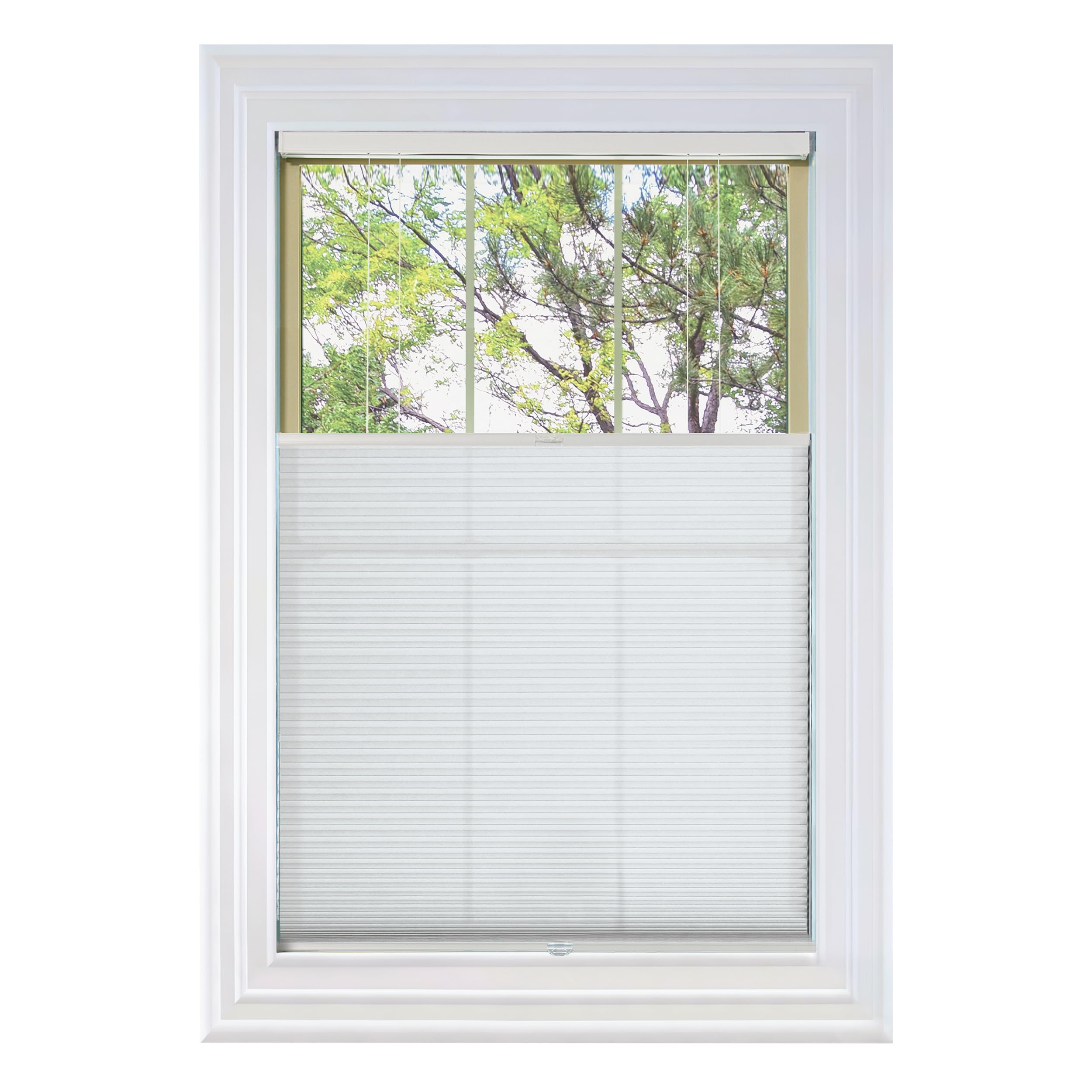 BlindsAvenue Cordless Top Down Bottom Up Cellular Honeycomb Shade, 9/16" Single Cell, Light Filtering, Cotton White, Size: 25.5" W x 72" H