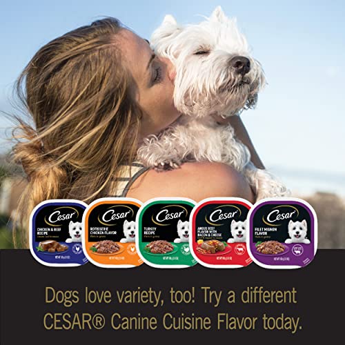 CESAR HOME DELIGHTS Adult Wet Dog Food & Classic Loaf in Sauce Breakfast & Dinner Variety Pack, (24) 3.5 oz. Easy Peel Trays
