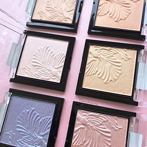 Wet n Wild MegaGlo Highlighting Powder Brown Golden Flower Crown, 0.19 Ounce