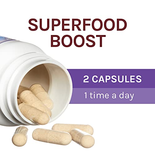 Host Defense, Lion's Mane Capsules, Promotes Mental Clarity, Focus and Memory, Mushroom Supplement, 60 Count