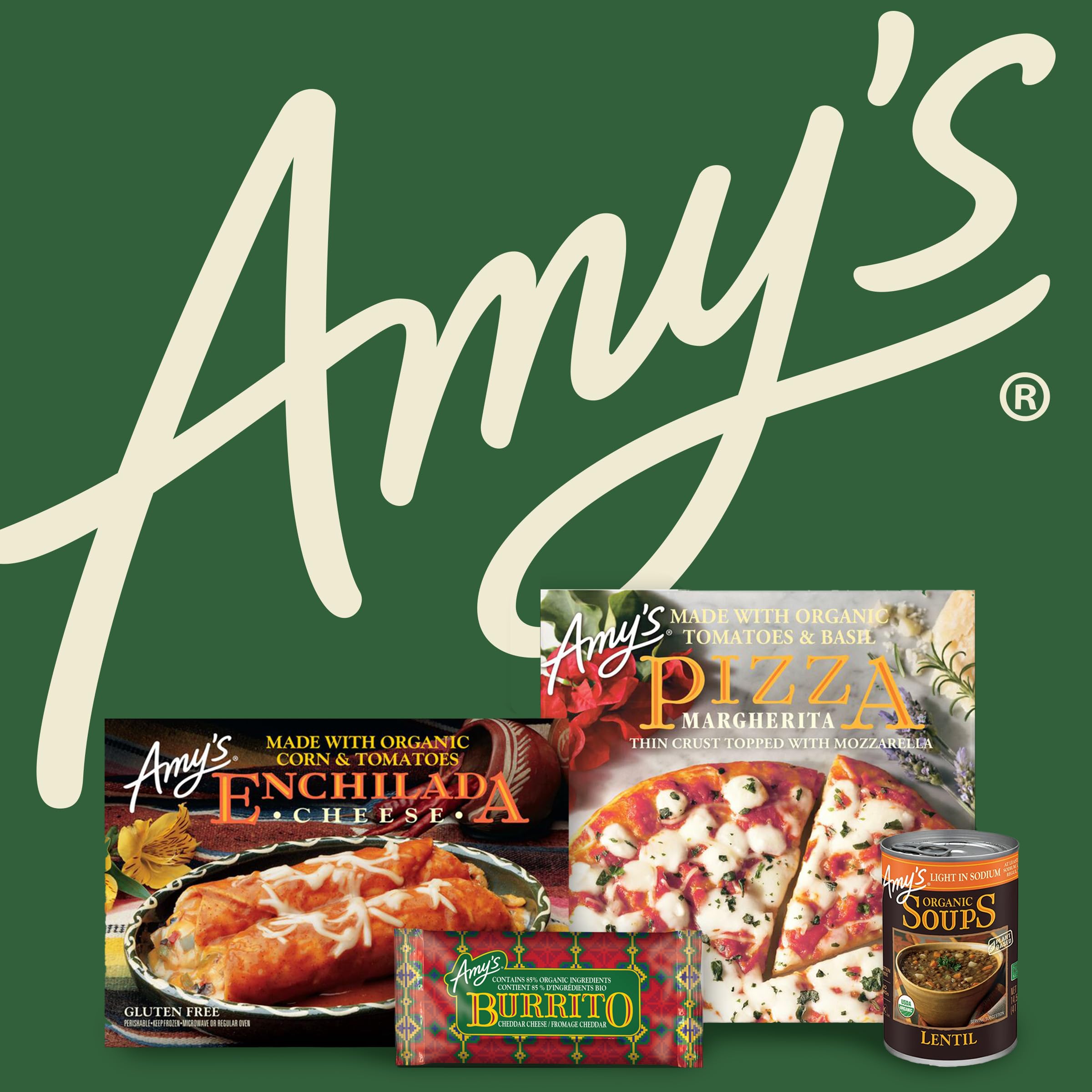 Amy’s Soup, Vegan Reduced Sodium Chunky Vegetable Soup, Gluten Free, Made With Organic Vegetables, Canned Soup, 14.3 Oz (12 Pack)
