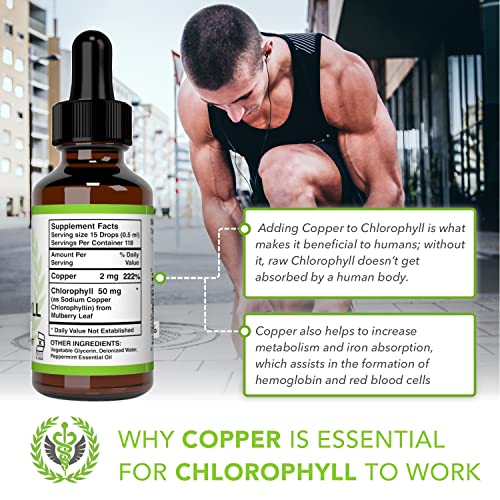 Chlorophyll Liquid Drops β Energy Boost | Immune System Support | Internal Deodorant | Altitude Sickness. Premium Quality β 100% Natural, Potent, Minty Taste, 2X Absorption.