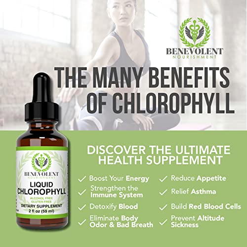 Chlorophyll Liquid Drops β Energy Boost | Immune System Support | Internal Deodorant | Altitude Sickness. Premium Quality β 100% Natural, Potent, Minty Taste, 2X Absorption.