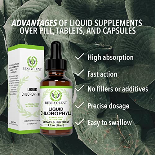 Chlorophyll Liquid Drops β Energy Boost | Immune System Support | Internal Deodorant | Altitude Sickness. Premium Quality β 100% Natural, Potent, Minty Taste, 2X Absorption.